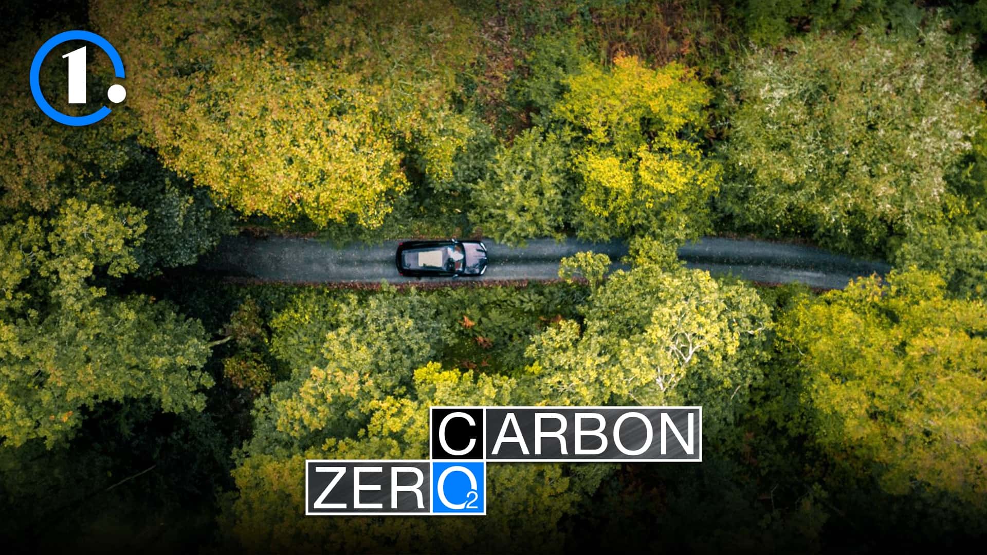 Even car manufacturers are planting trees to offset CO2 emissions