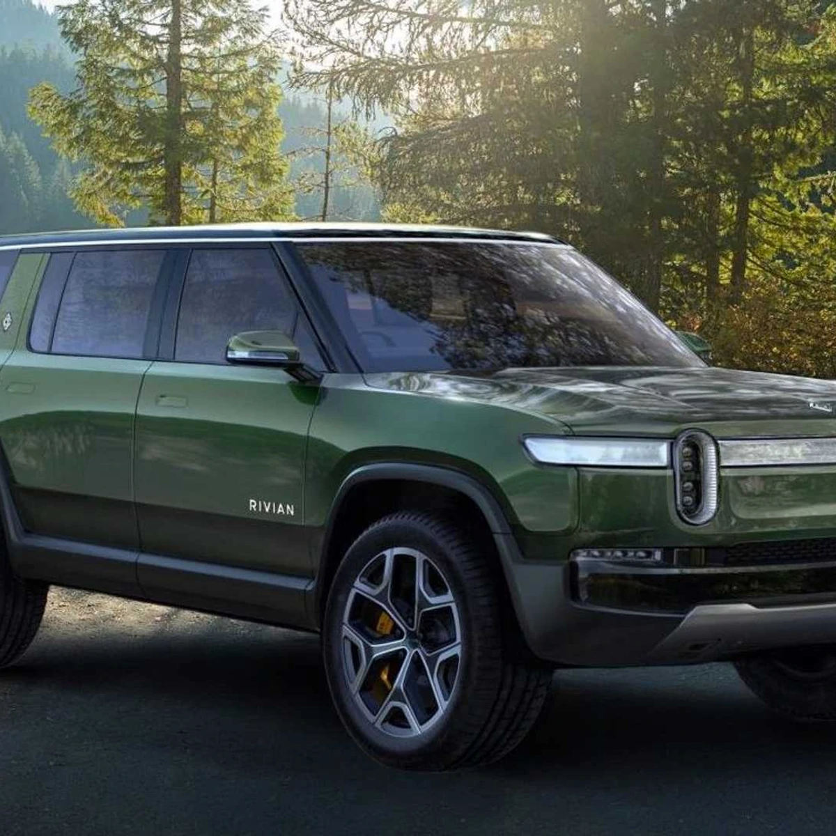 Rivian auto store