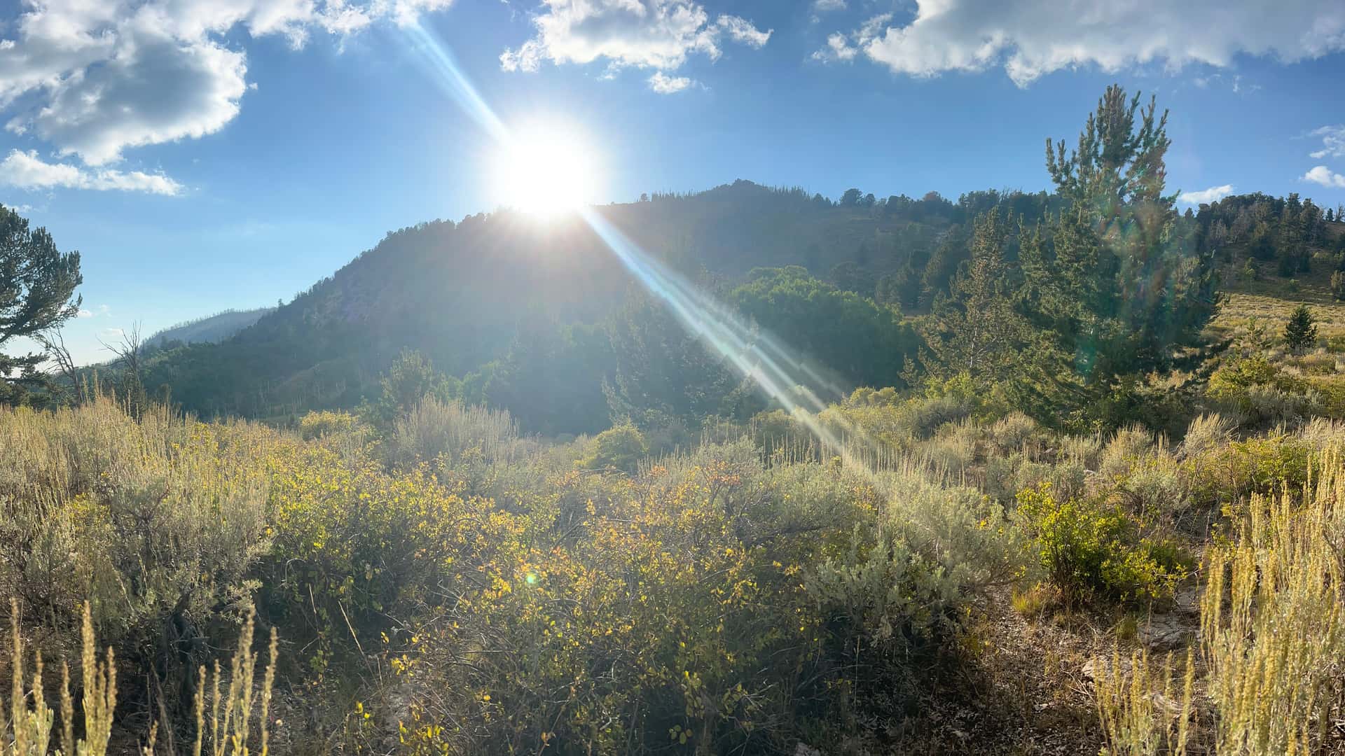 Utah Senator Mike Lee Still Hates You Have Access to Public Lands In ...