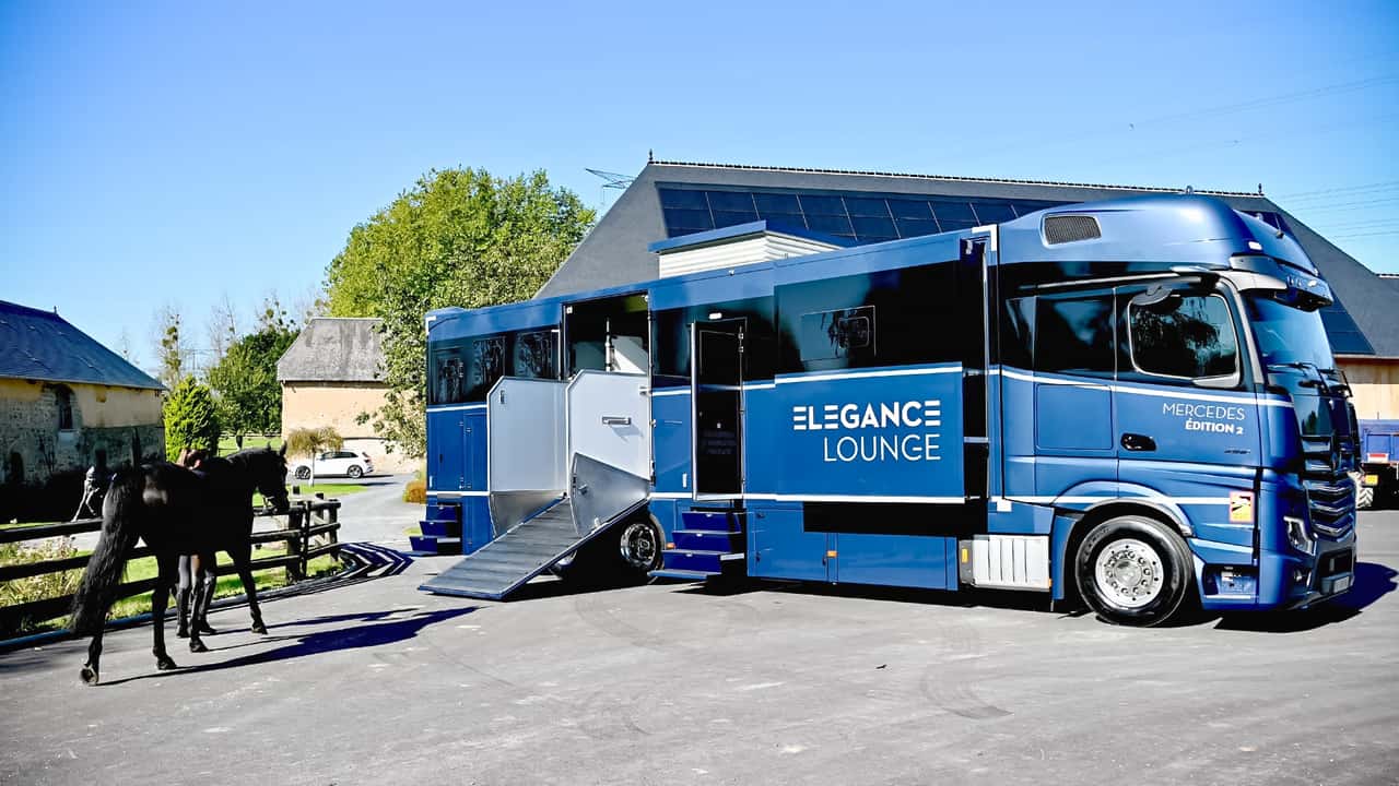 Mercedes Actros for luxury horse transport: the horse rides along