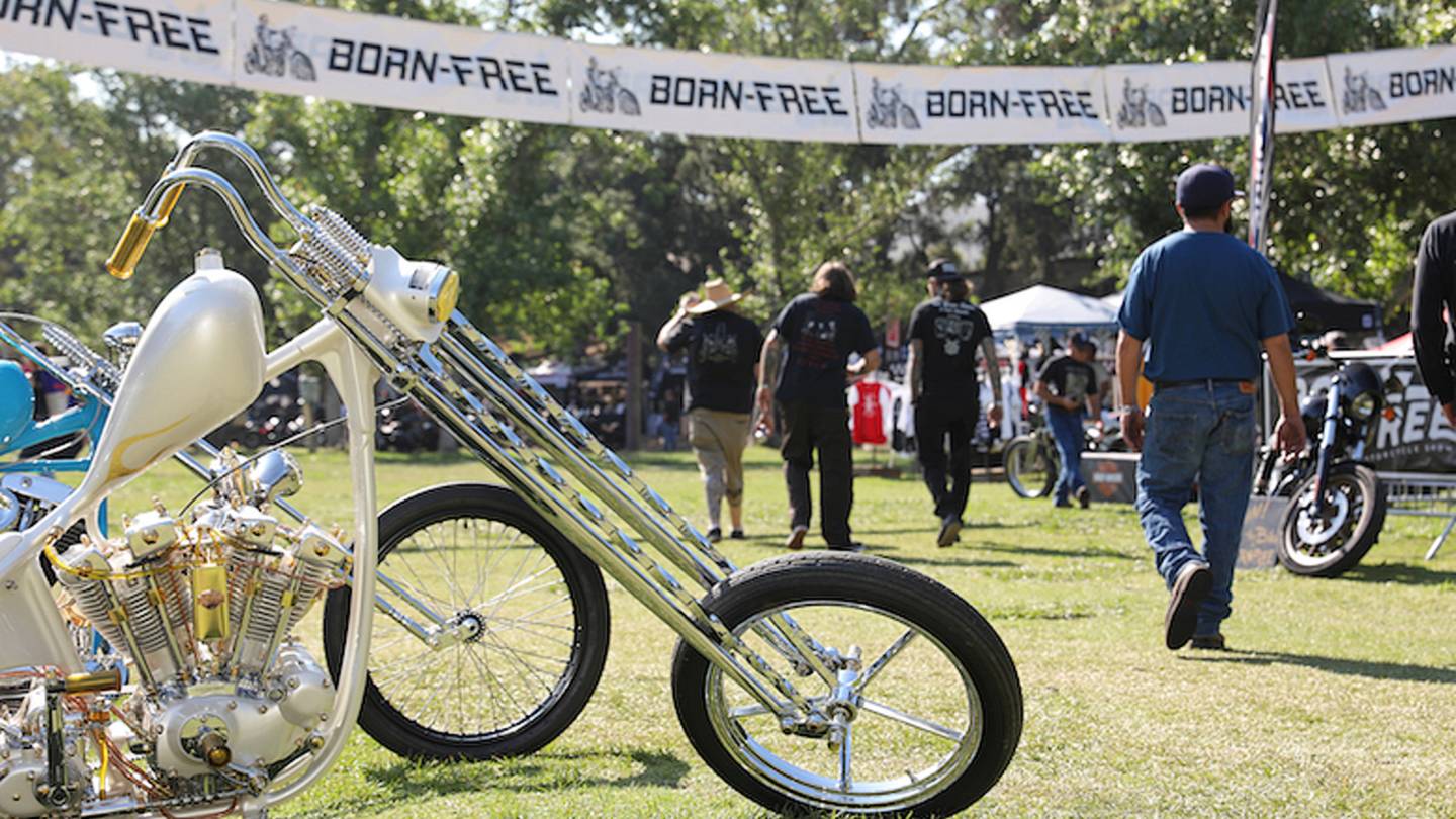 Born Free Showcases Best and Brightest of Chopper World
