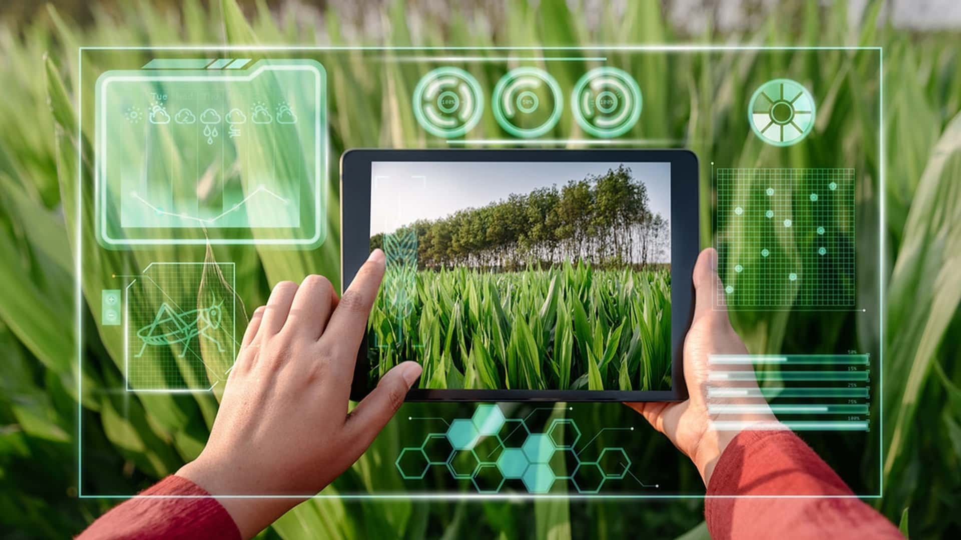 TEA e i "nuovi Ogm": Lombardia la prima regione a sperimentarla