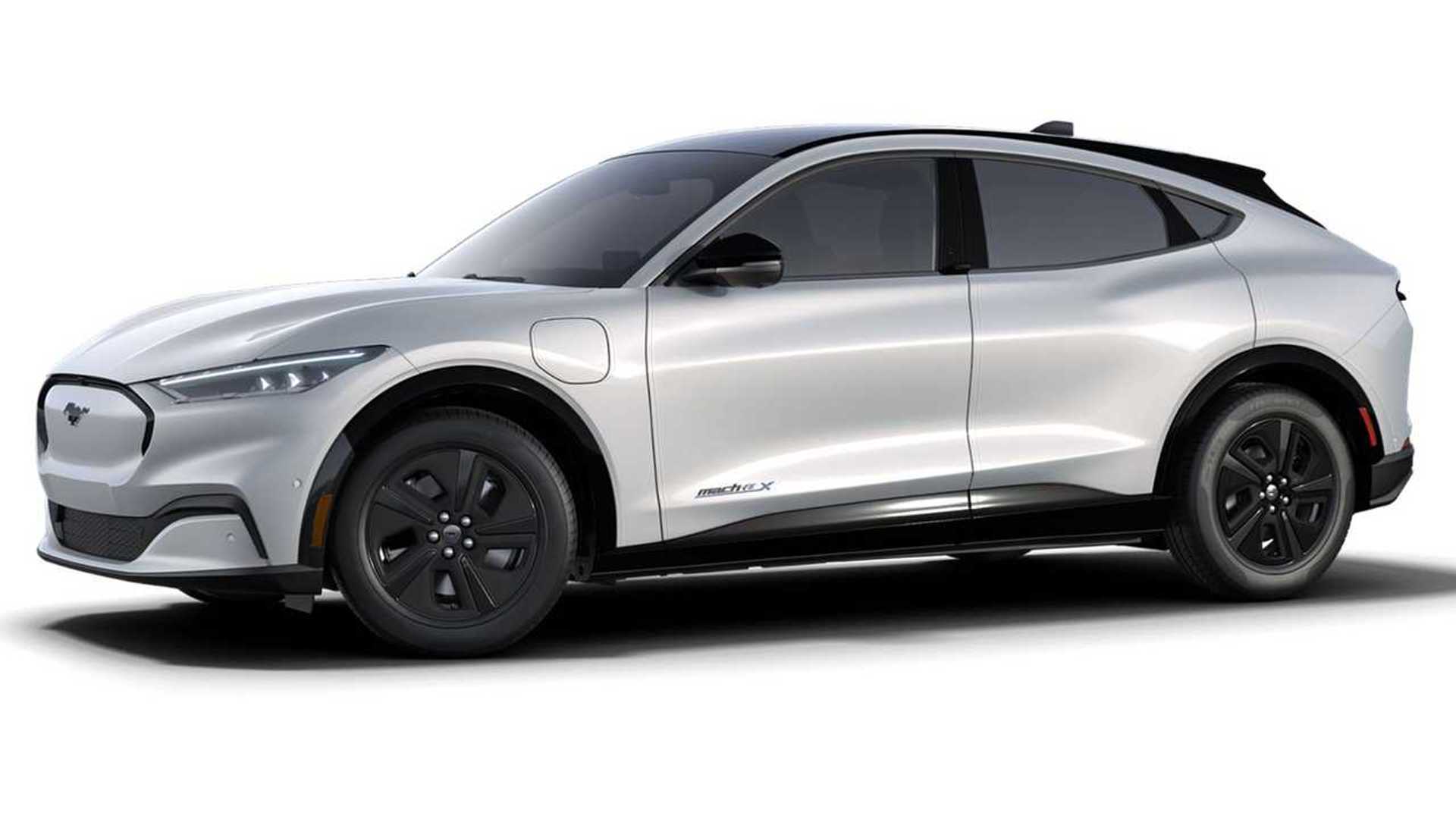 Ford Has 14 Different Mustang Models: Can You Name Them All?