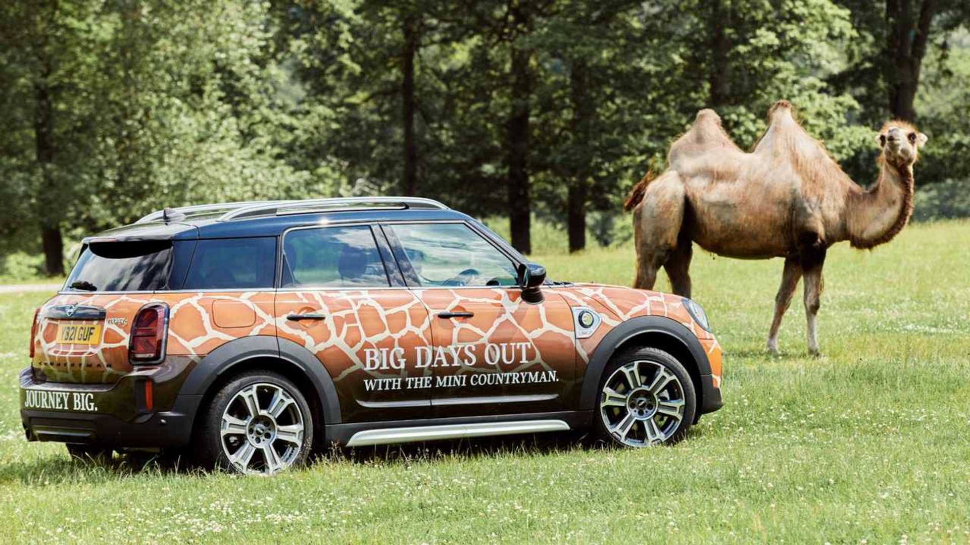 Mini Countryman PHEVs Move Silently Around English Safari Park