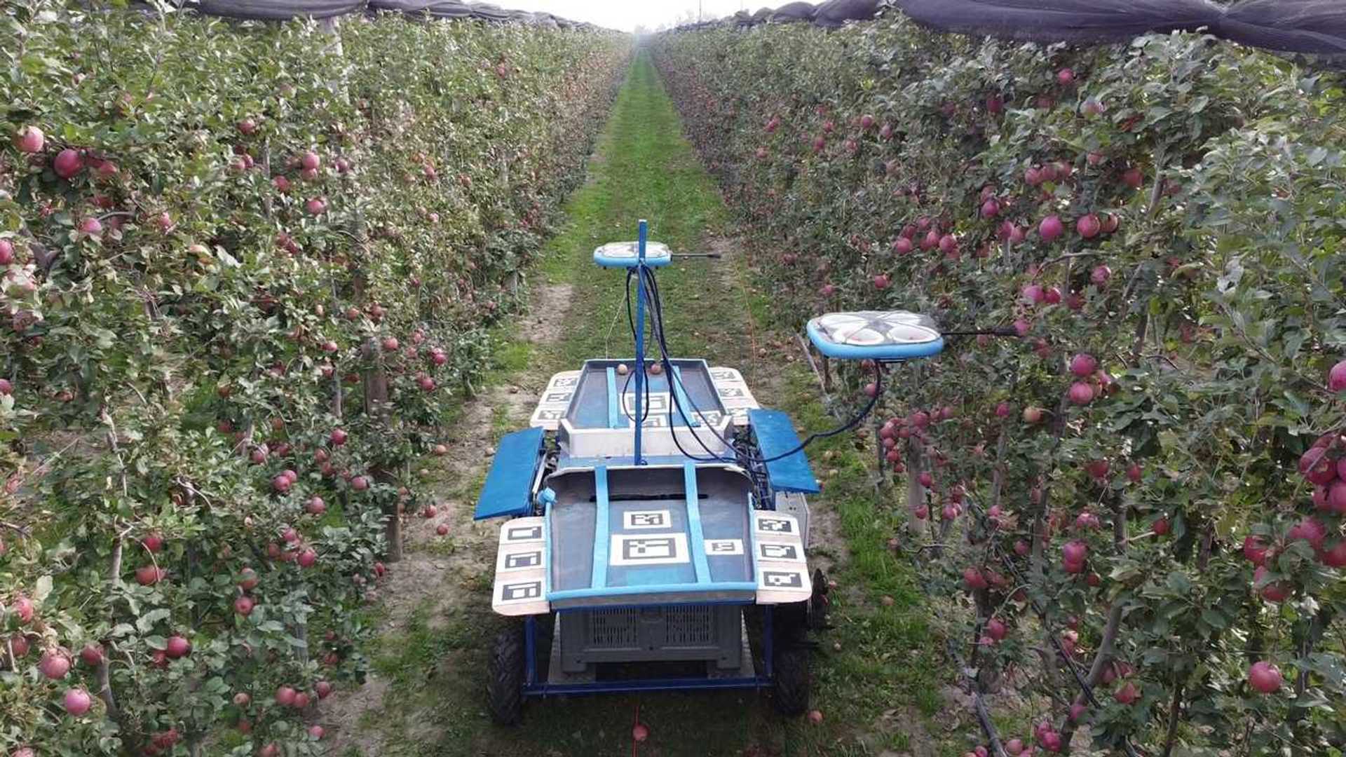Kubota e Tevel vincono col sistema automatico raccolta frutta
