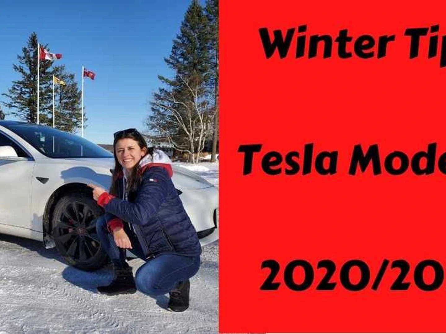 Tesla model 3 tips and tricks 2020 store