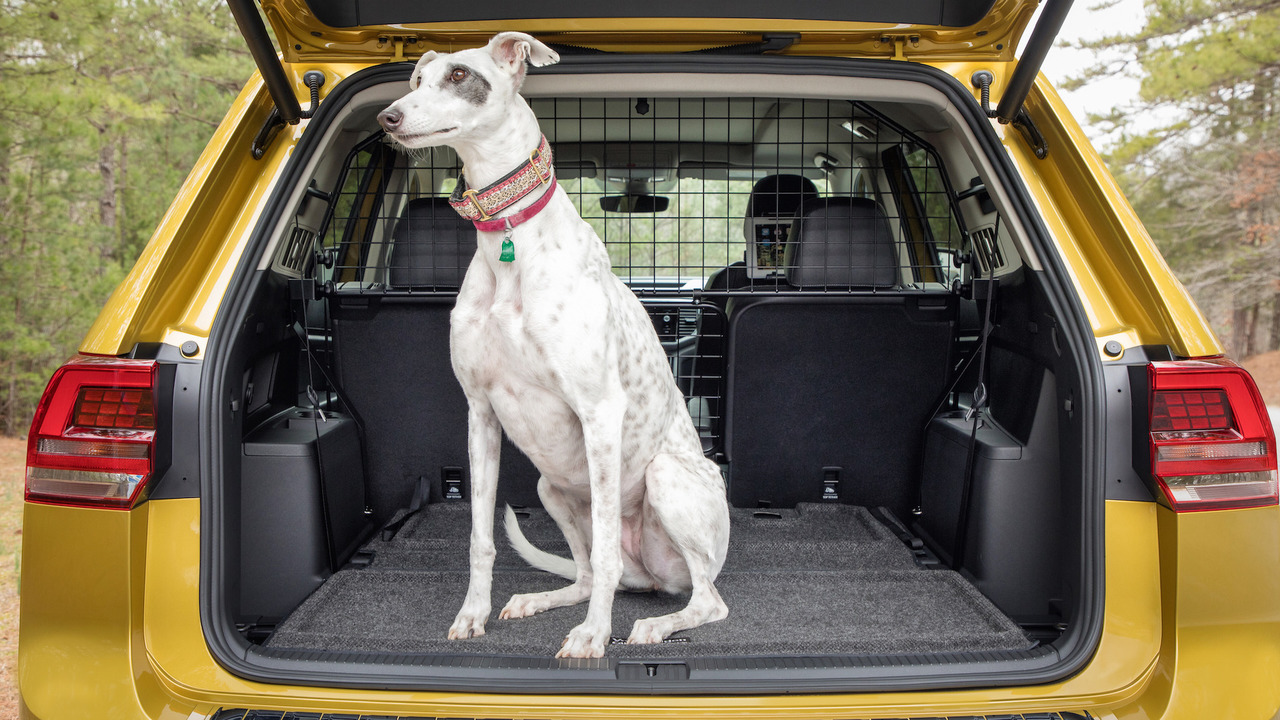 Volkswagen Atlas ganha edição voltada para o camping