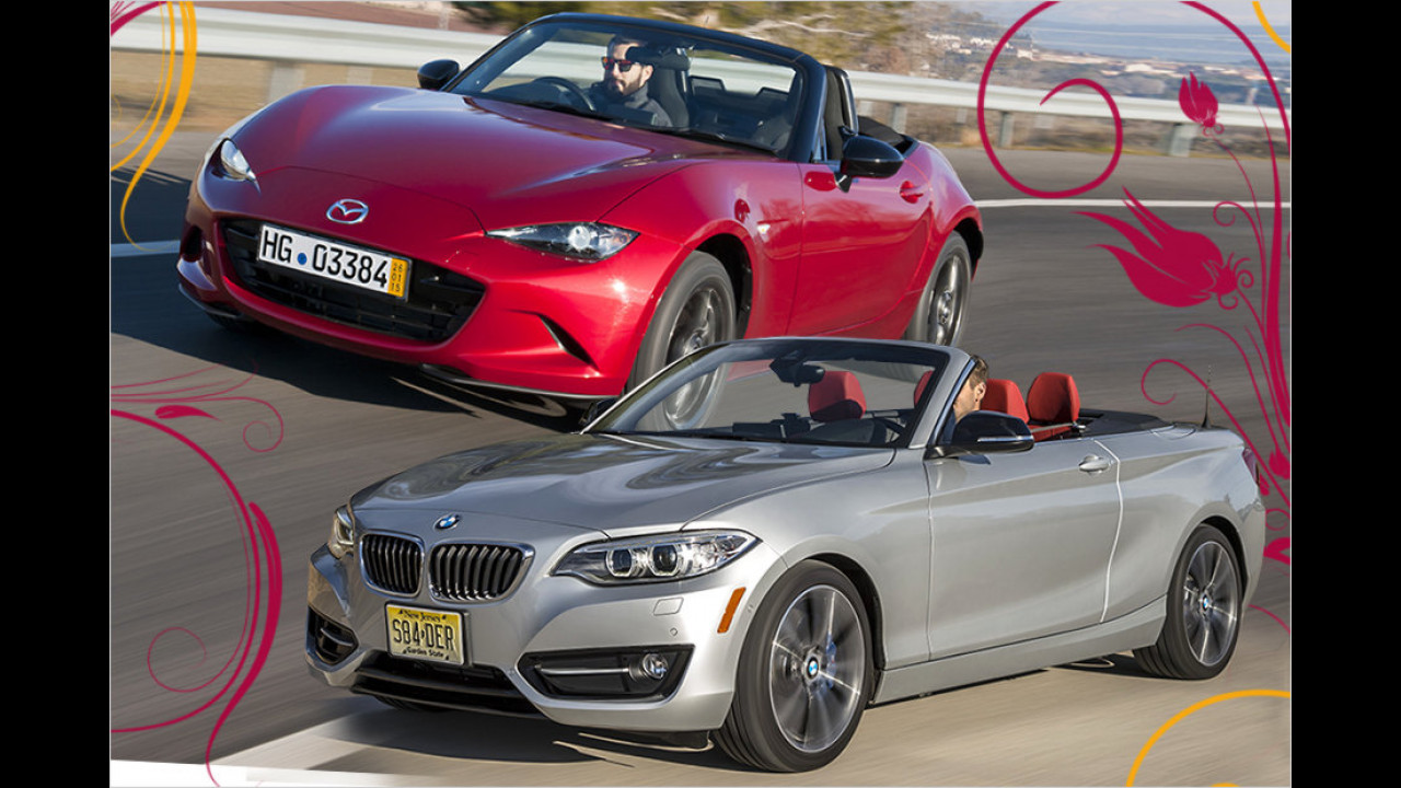 Die Cabrio-Newcomer 2015