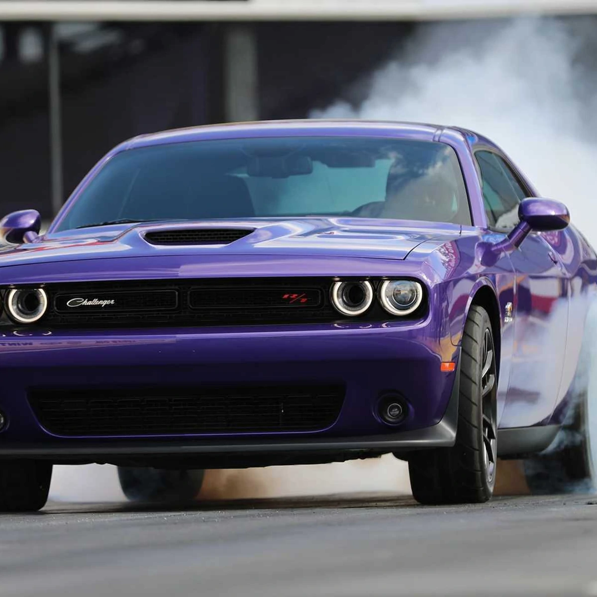Dodge Challenger Bumblebee - Top 6 Videos & 60+ Images