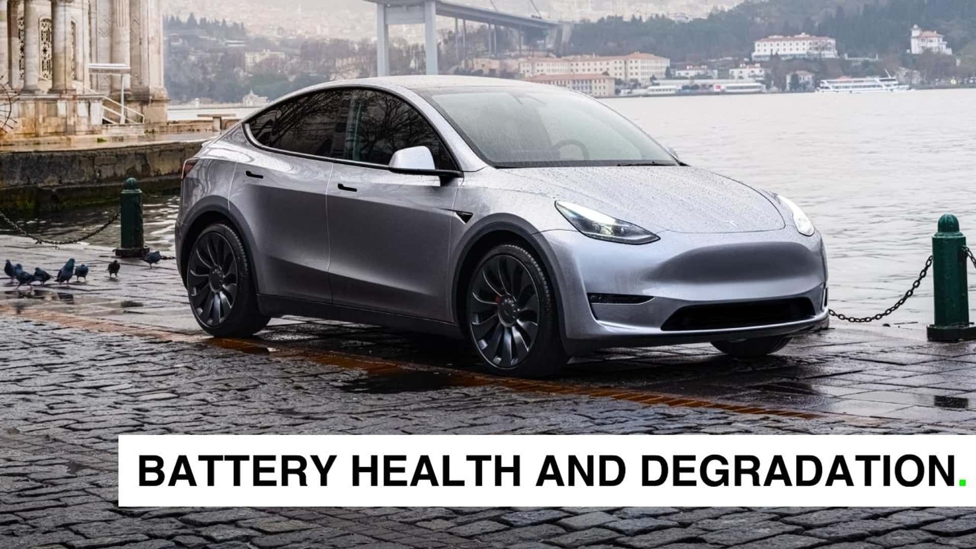 Tesla Model Y Performance Ownership Review: Battery Health, Degradation ...