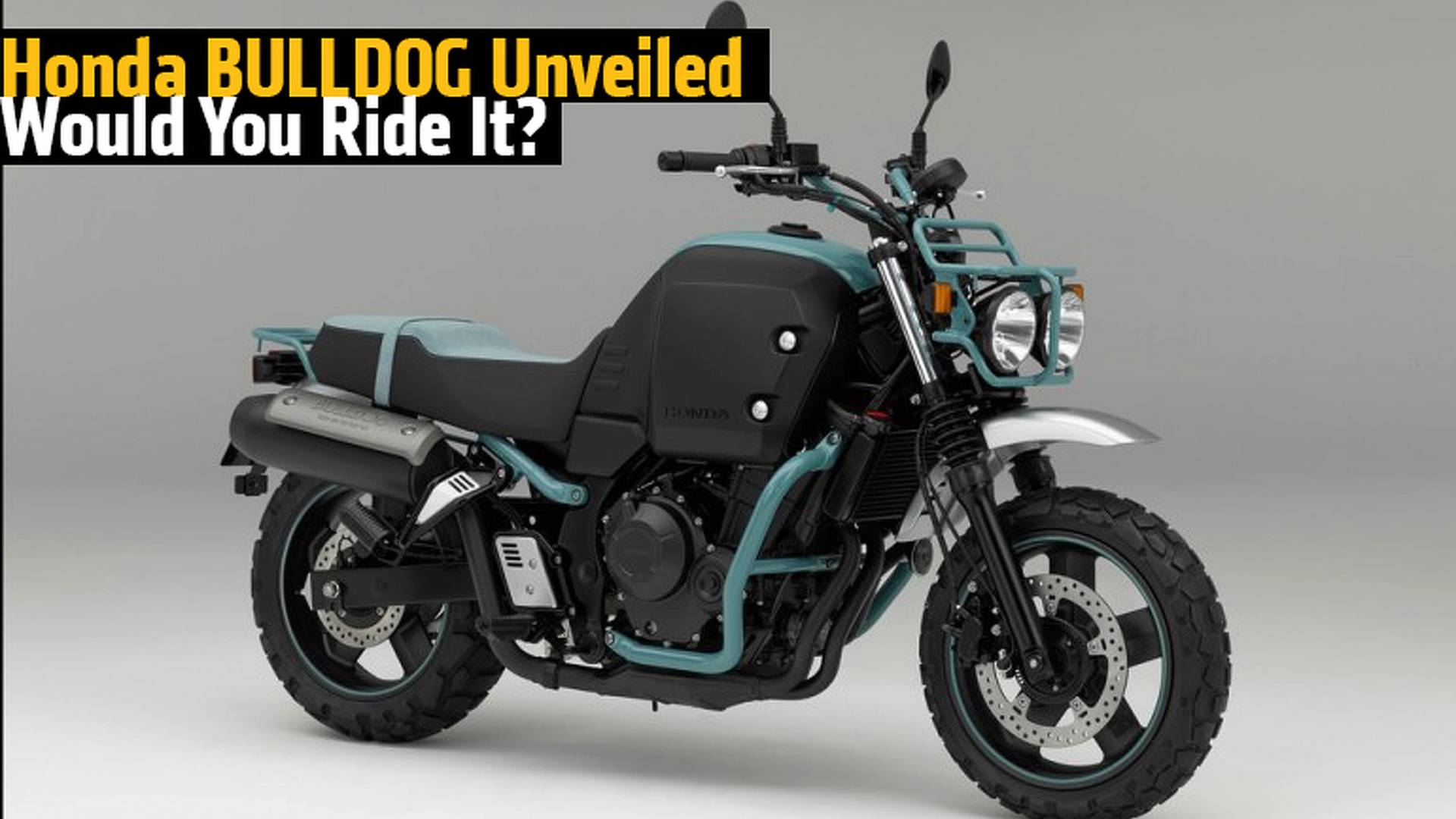 Honda BULLDOG Unveiled - Would You Ride It?