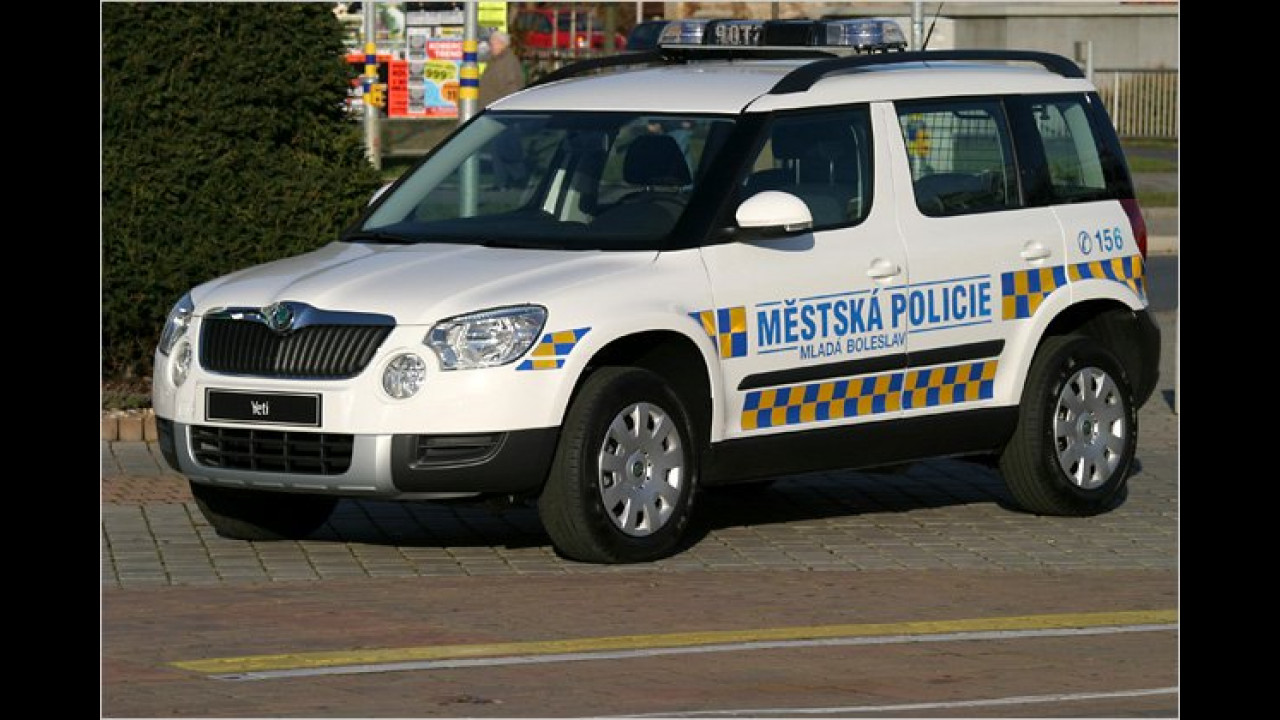 Blaulicht-Milieu: Polizeiautos aus ganz Europa