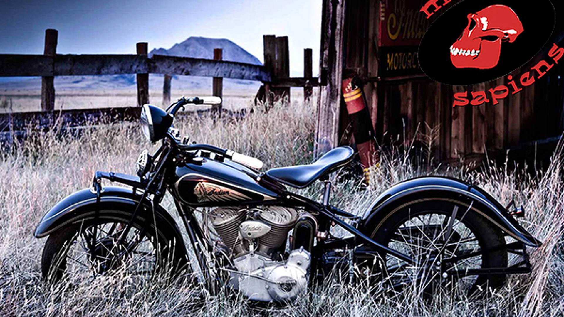 Indian, Beethoven and Seinfeld