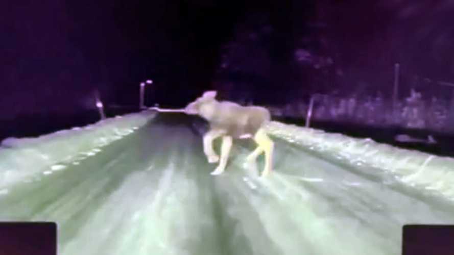 moose test News and Reviews | Motor1.com