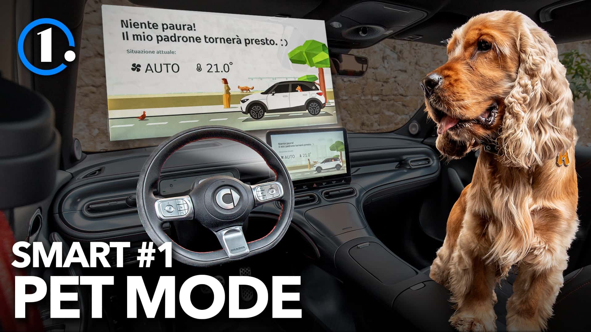 Cani in auto, il pet mode è una funzione che i padroni adoreranno