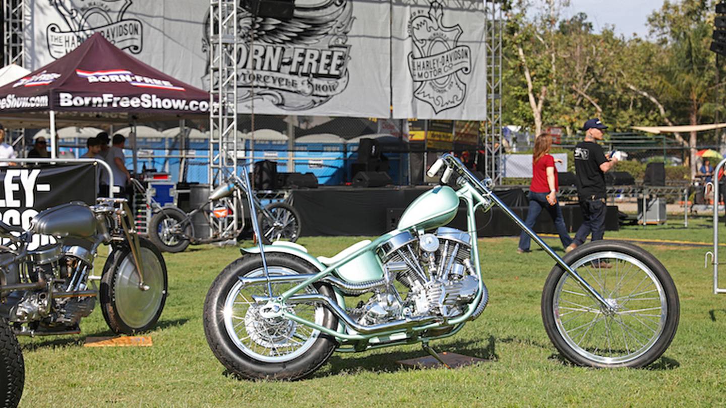 Born Free Showcases Best and Brightest of Chopper World