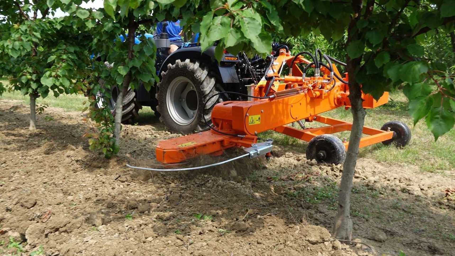 Rinieri: la vera gamma vigneto made in Italy