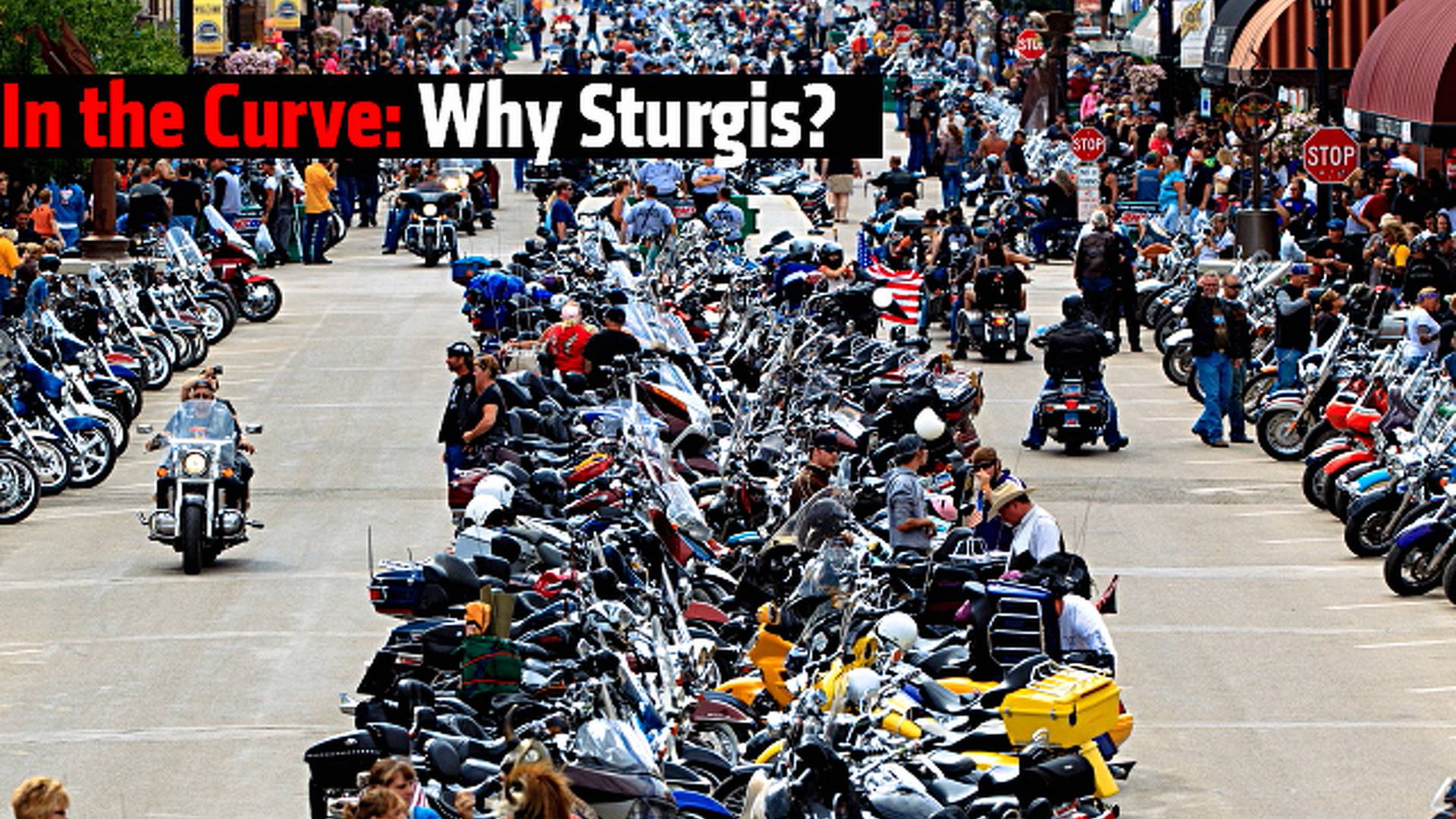 In the Curve: Why Sturgis?