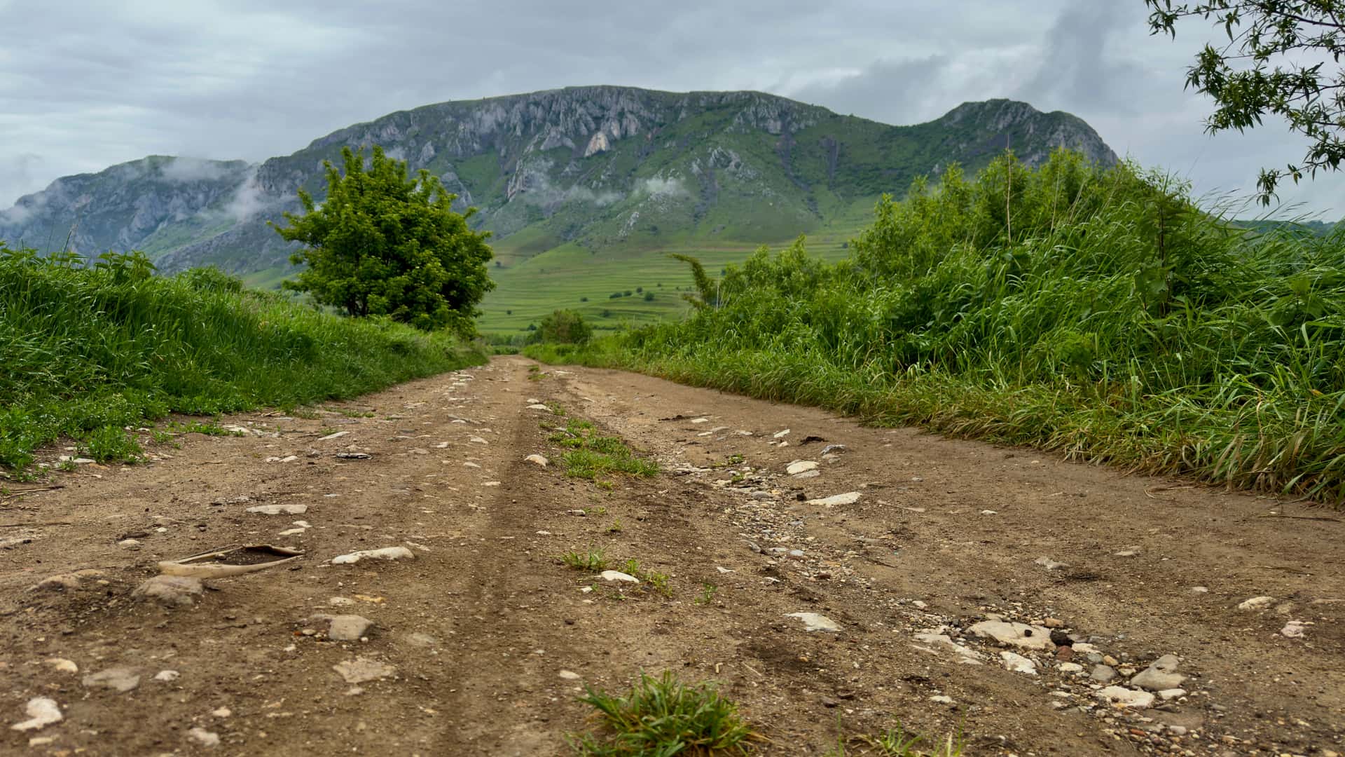 Get Ready, BMW's International GS Trophy Qualifier Races Are Coming