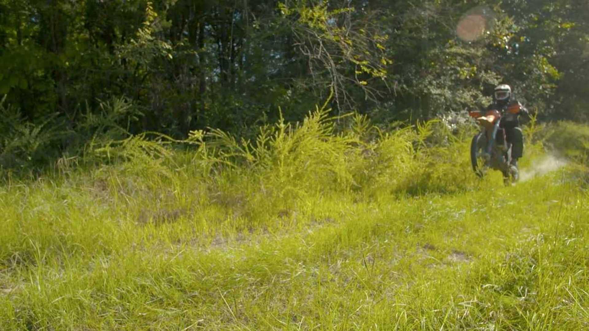 From Two-Wheels to Four: How Adam Sandoval’s Redefined His Passion for ...